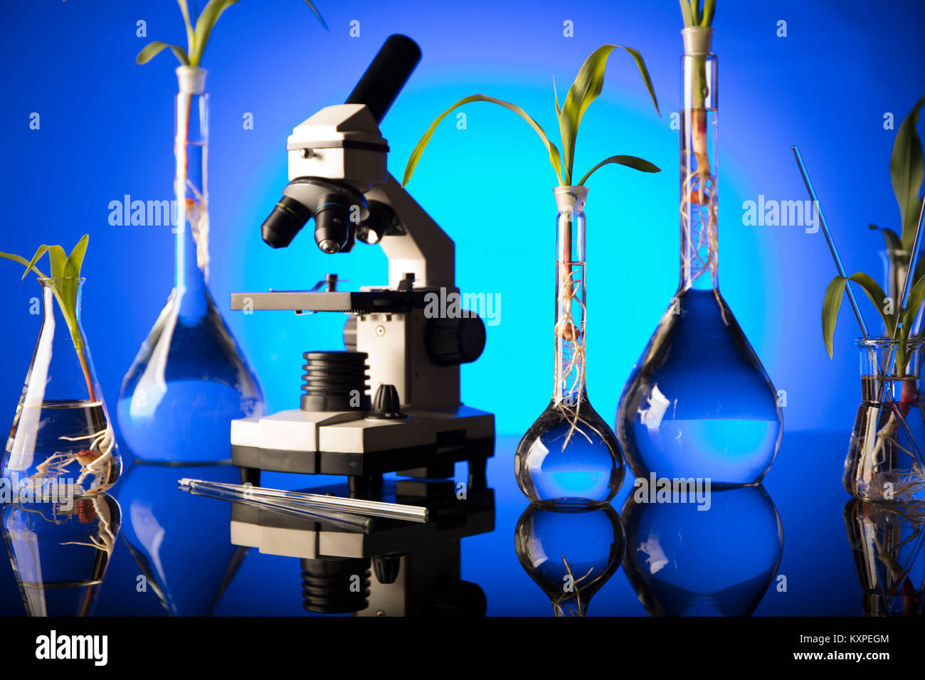 Biotechnology theme. Laboratory concept. Beakers and test-tubes. Blue ...