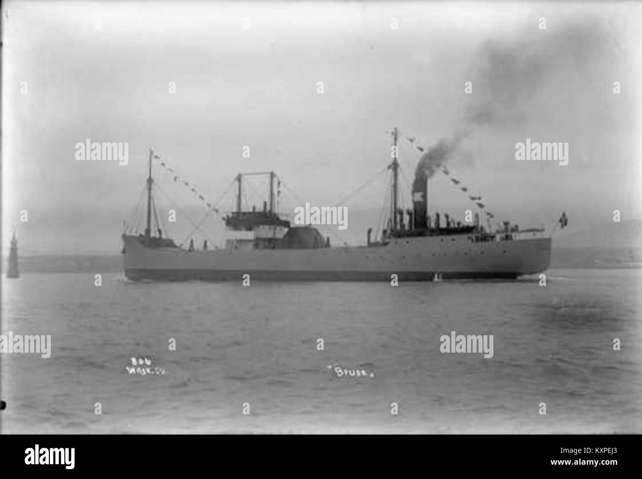 Bruse hi-res stock photography and images - Alamy