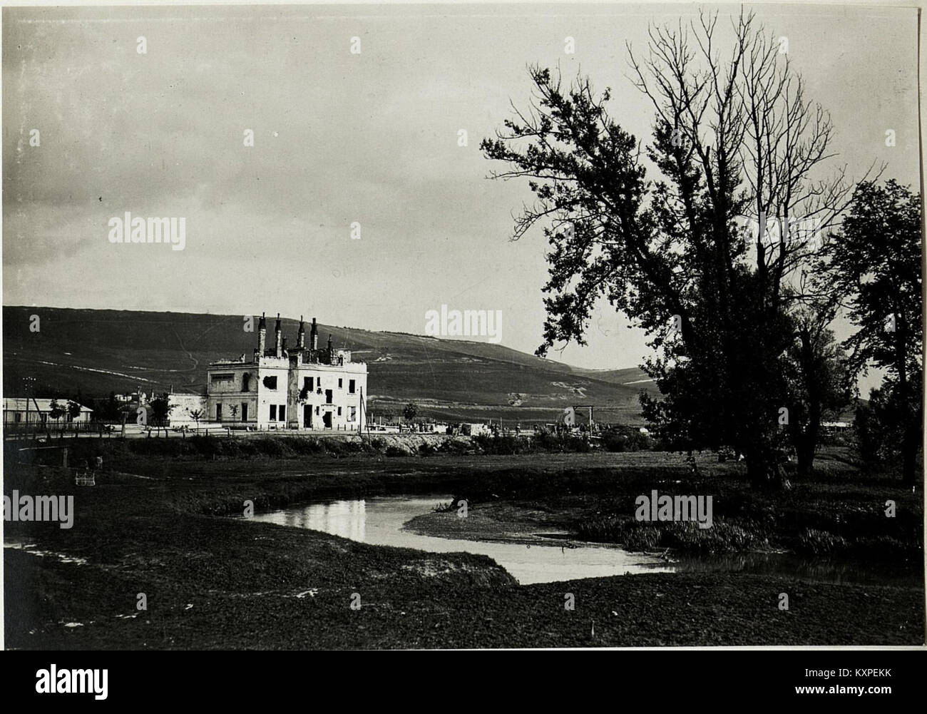 This image shows a view of the destroyed Zlota Lipa tree in Brzeany ...