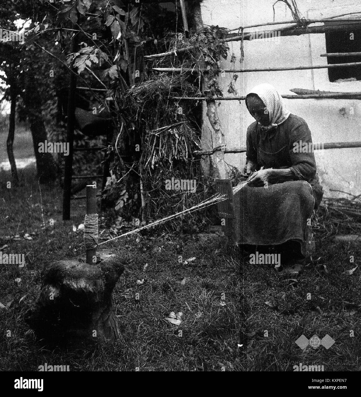 A photo from 1950 showing Katarina Bucar working in Petrusna vas ...