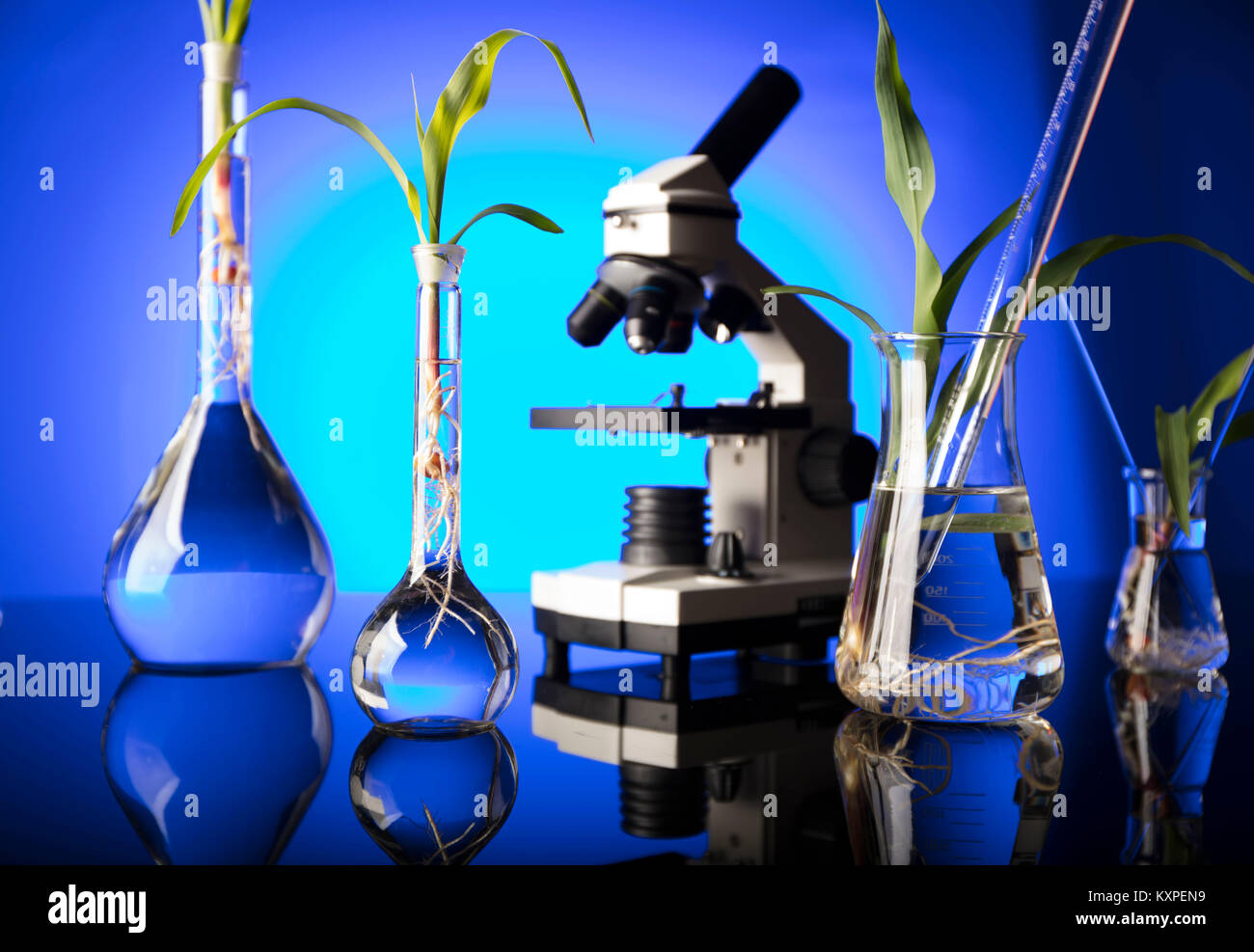 Biotechnology theme. Laboratory concept. Beakers and test-tubes. Blue ...