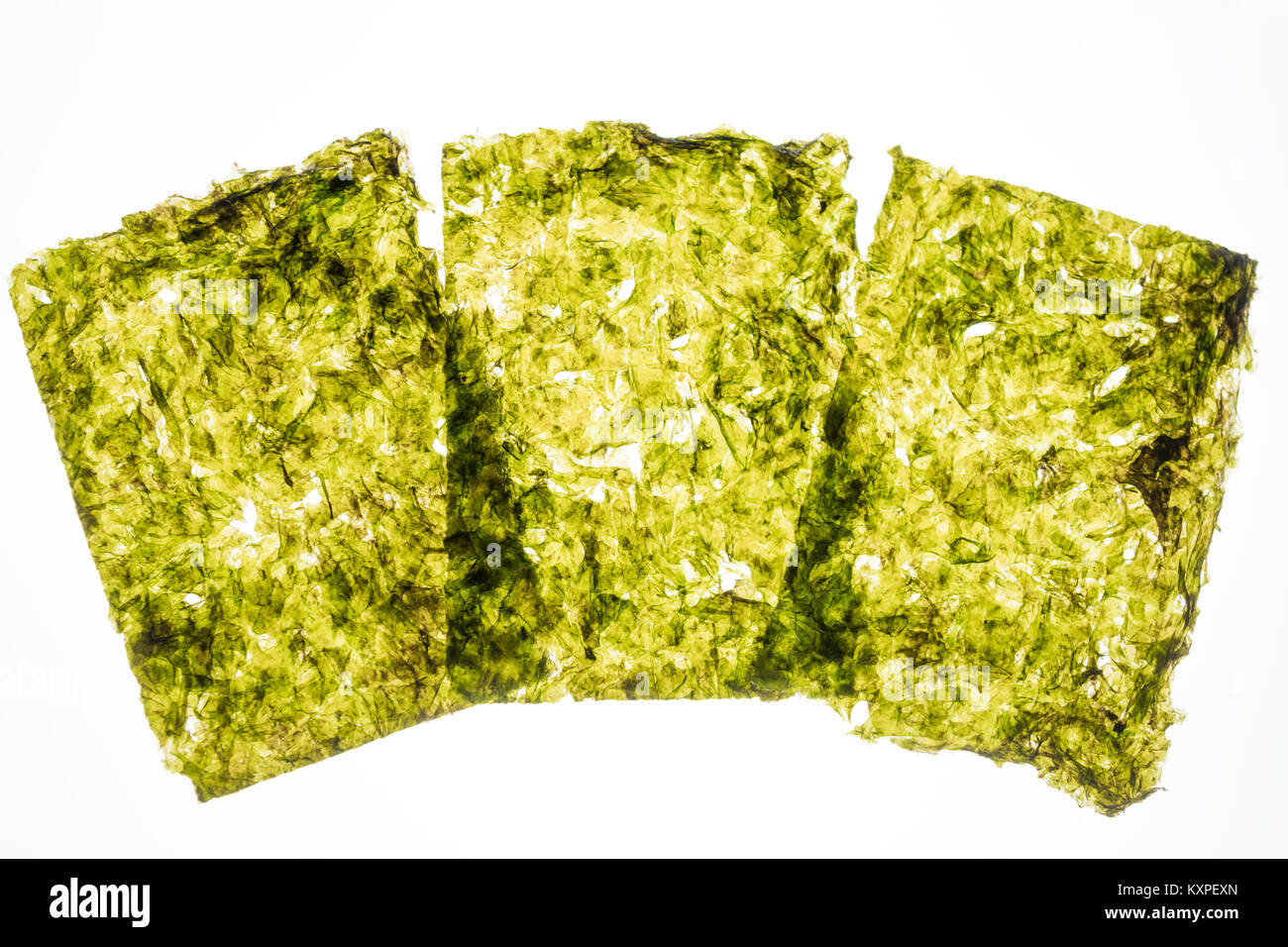 Three single Asian Wasabi flavour wafer snacks made from dried seaweed ...