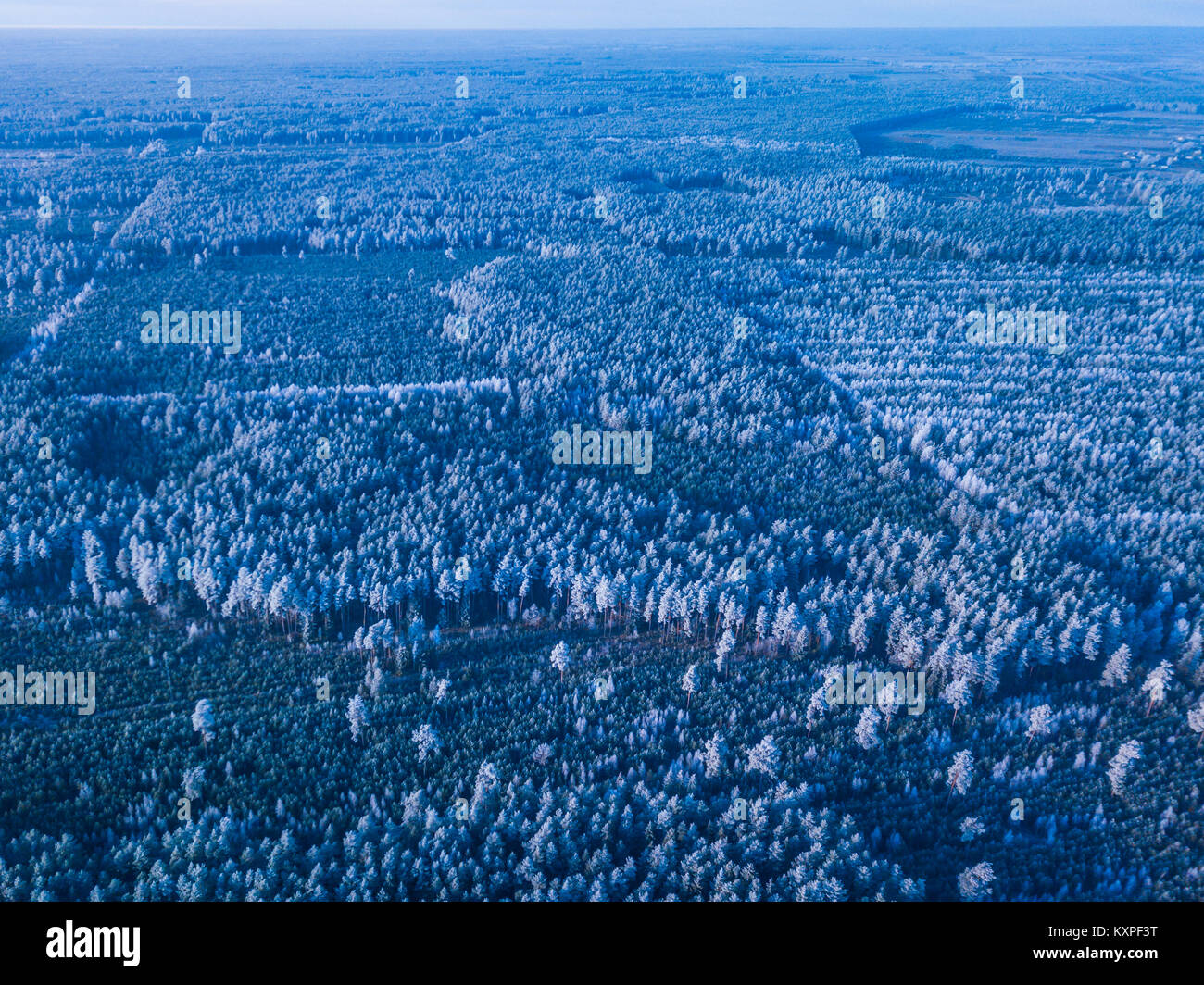 Background texture of a frozen forest at winter, aerial shot Stock ...