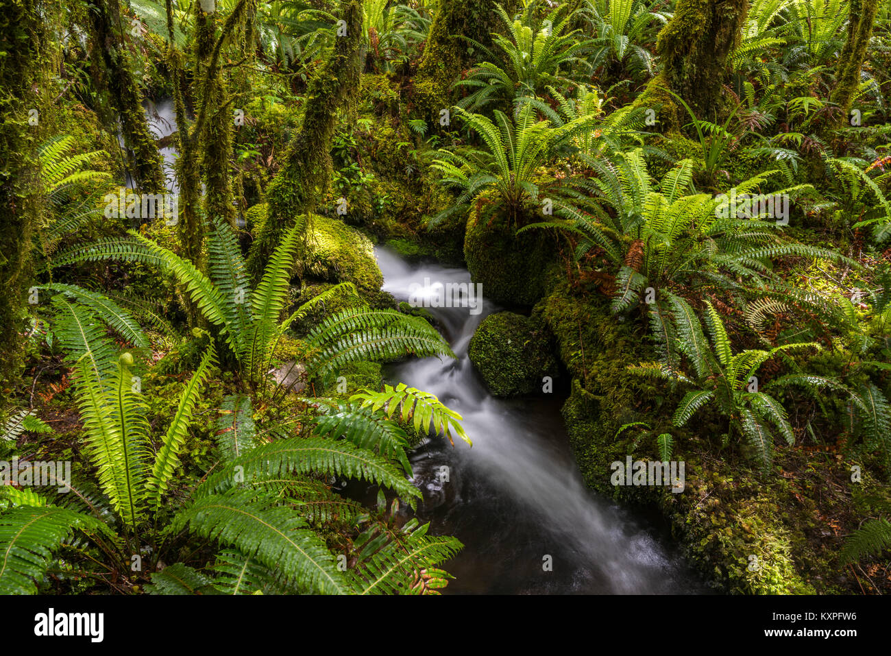 Fiordland national park and new zealand hi-res stock photography and ...