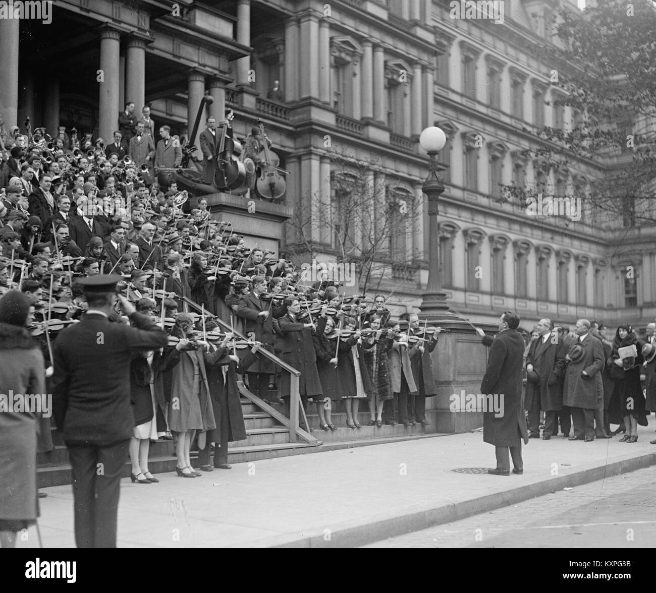 Parade of Elephants on City Street lined up side by side with Policeman ...
