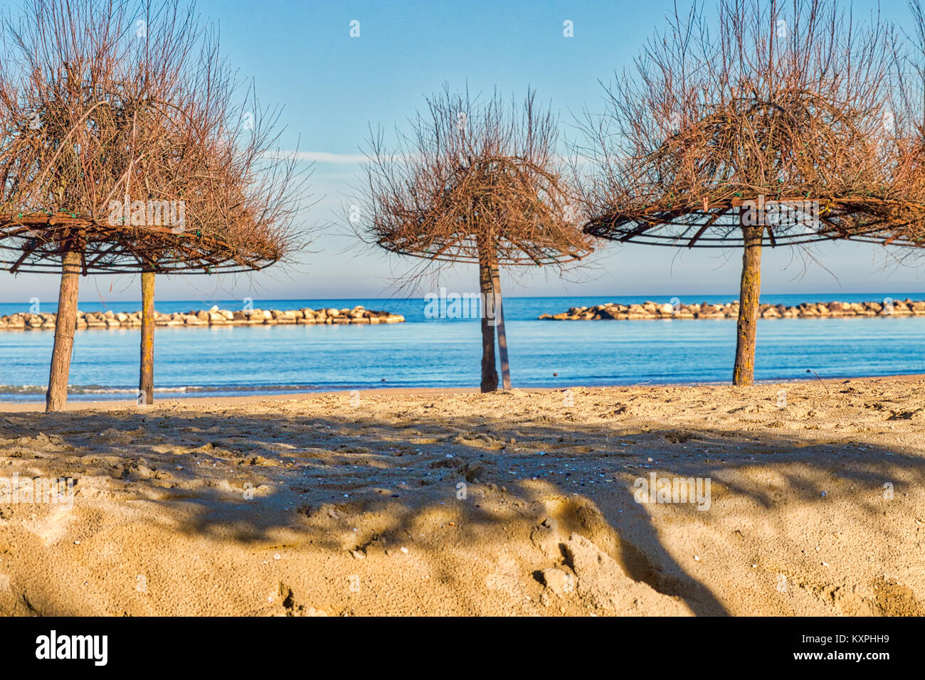 Beach with Tamarisk trees on the Adriatic coast of Emilia Romagna in ...