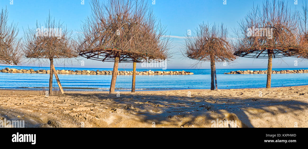 Tamarisk tree on a beach hi-res stock photography and images - Alamy