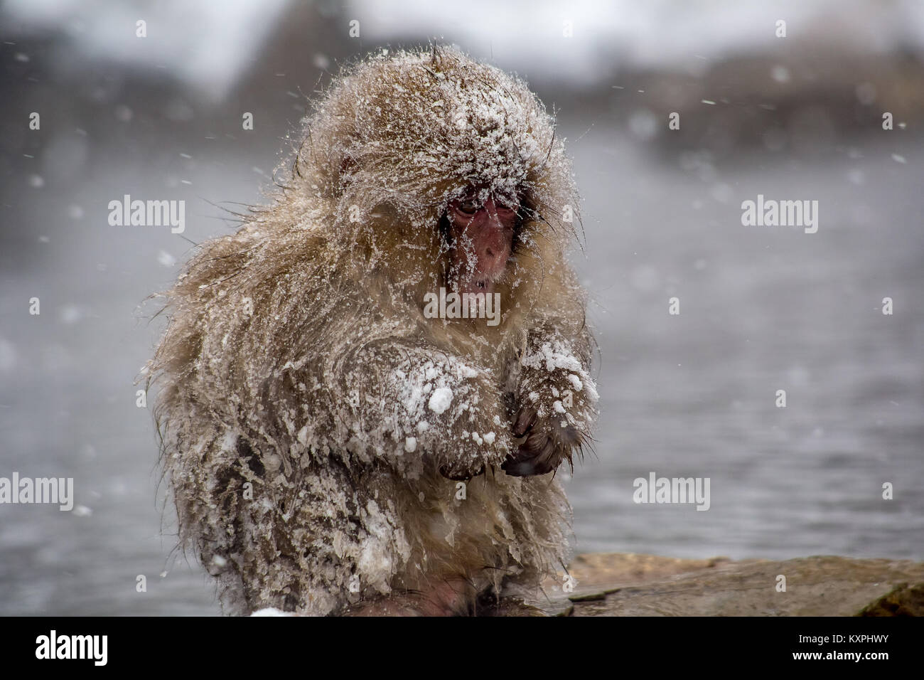 Shivering cold water hi-res stock photography and images - Alamy