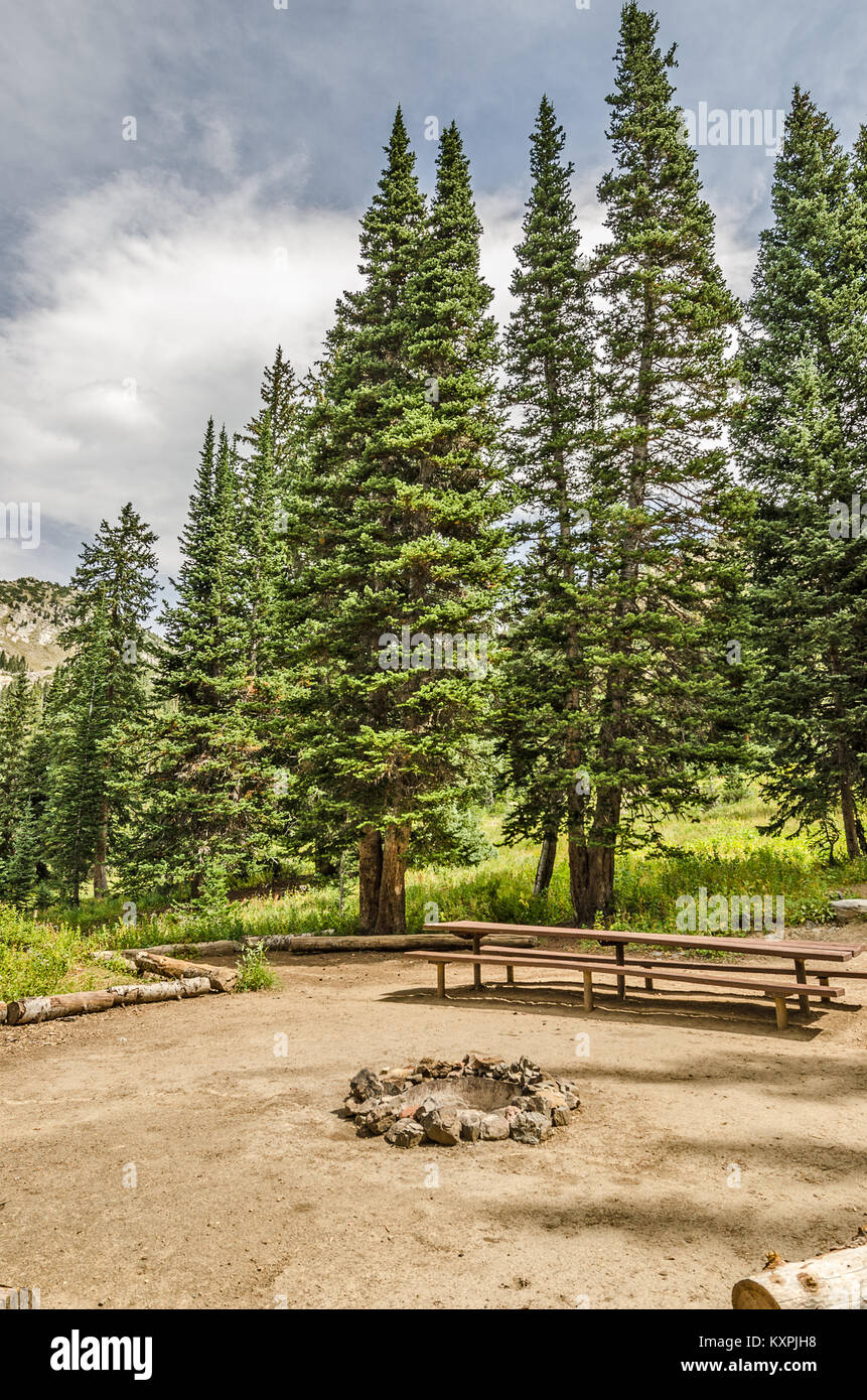 Picnic and camping area in the Wasatch Mountains in Utah Stock Photo ...