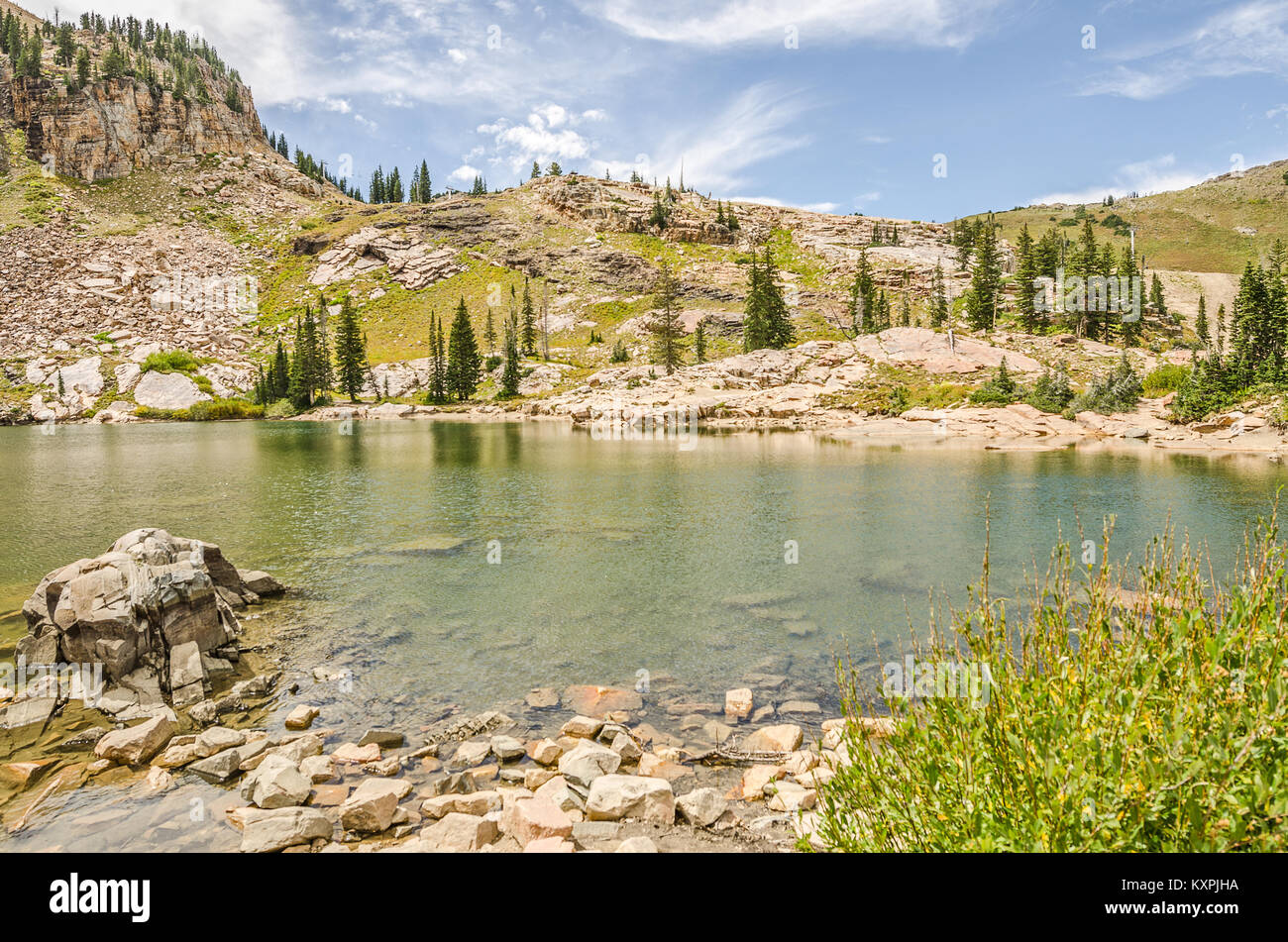 Mountain lake with trees and rocks Stock Photo - Alamy