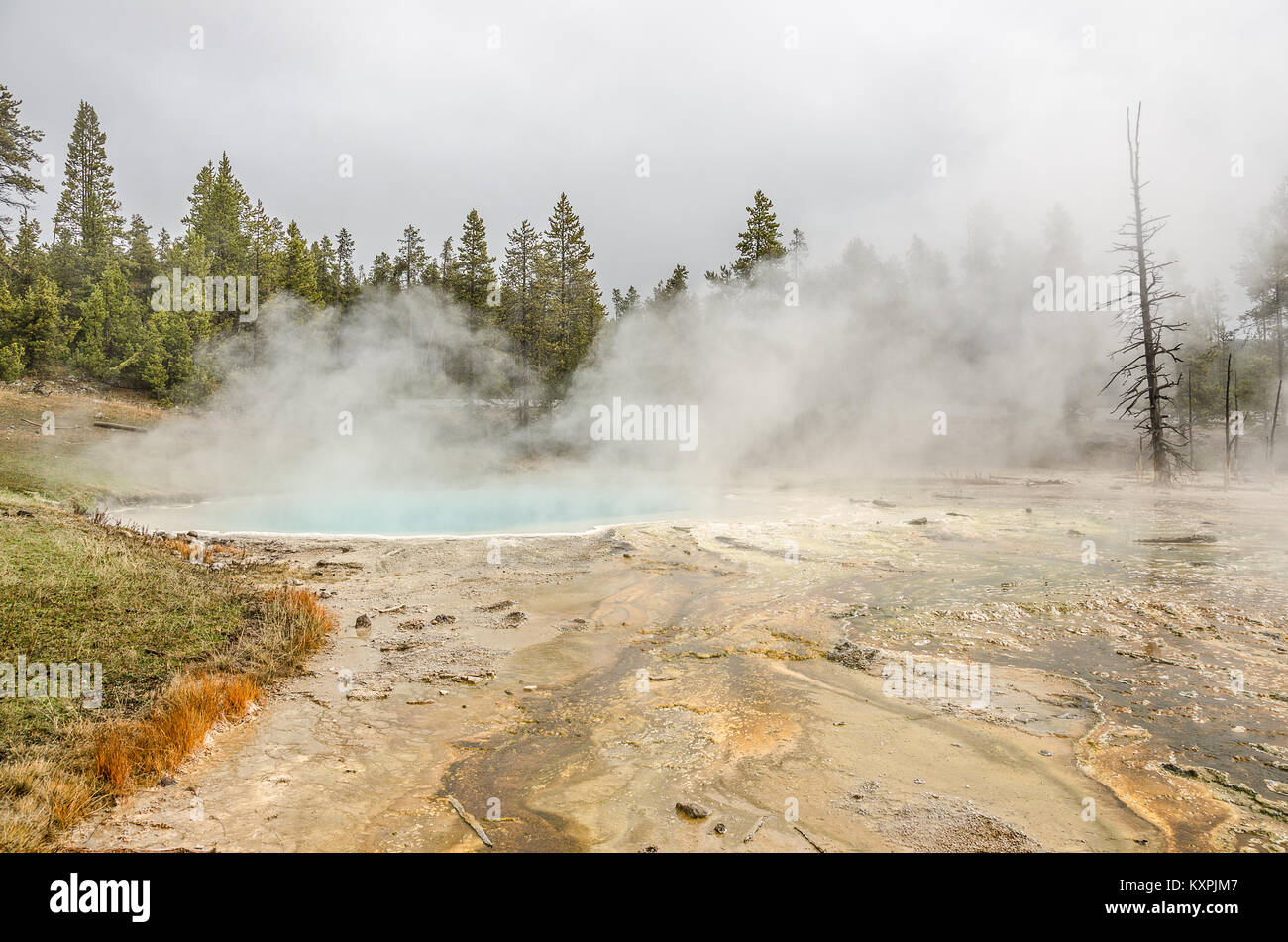 Silex Spring is in the Lower Geyser Basin in Yellowstone National Park ...