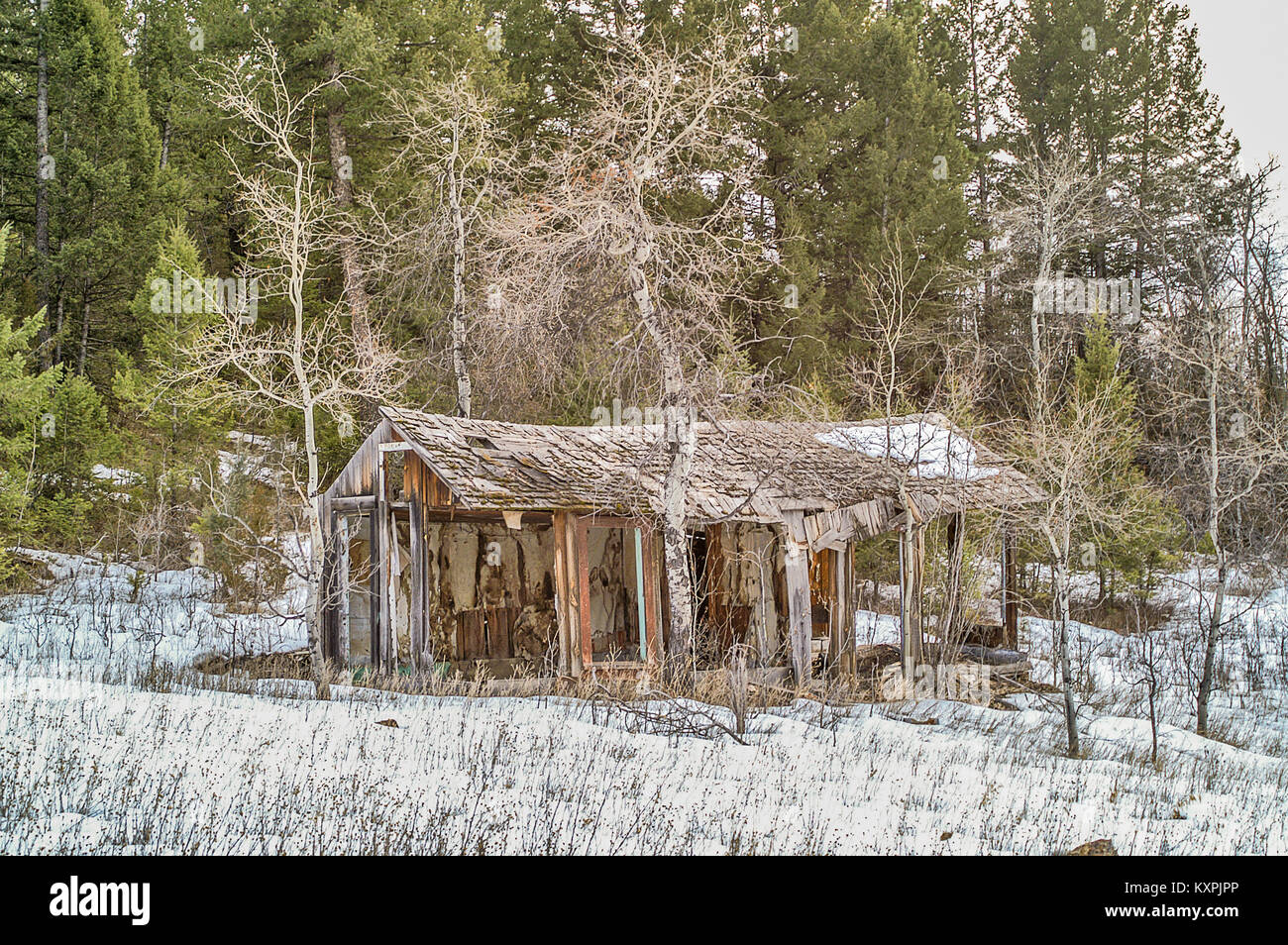 Only a few walls are left in this abandoned and dilapidated home Stock ...