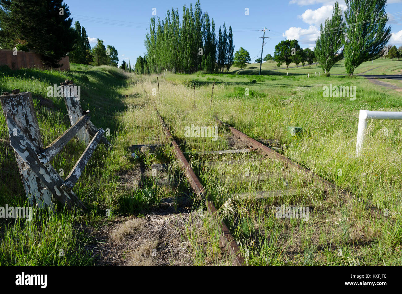 Overgrown railway track hi-res stock photography and images - Alamy