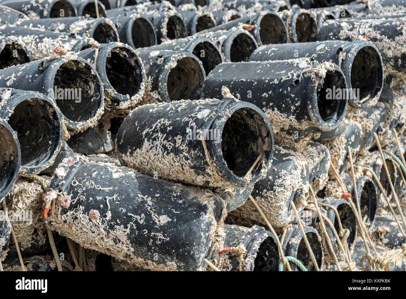 Octopus traps hi-res stock photography and images - Alamy