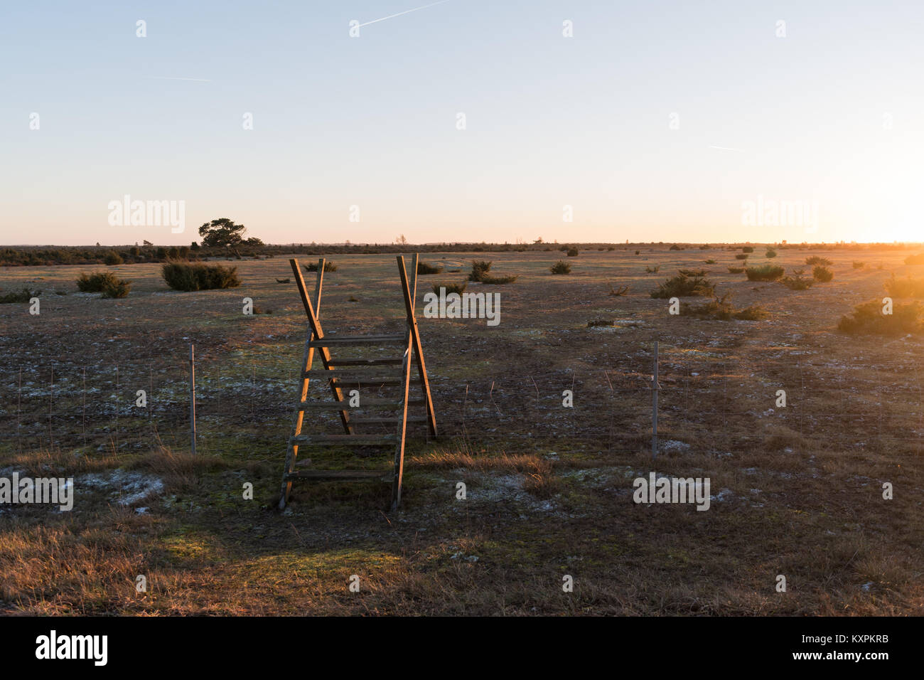 Stile by the unique landscape Great Alvar Plain at the swedish island ...