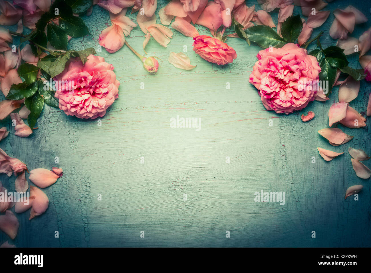 Pink roses background on retro toned shabby chic wood, top view, retro ...