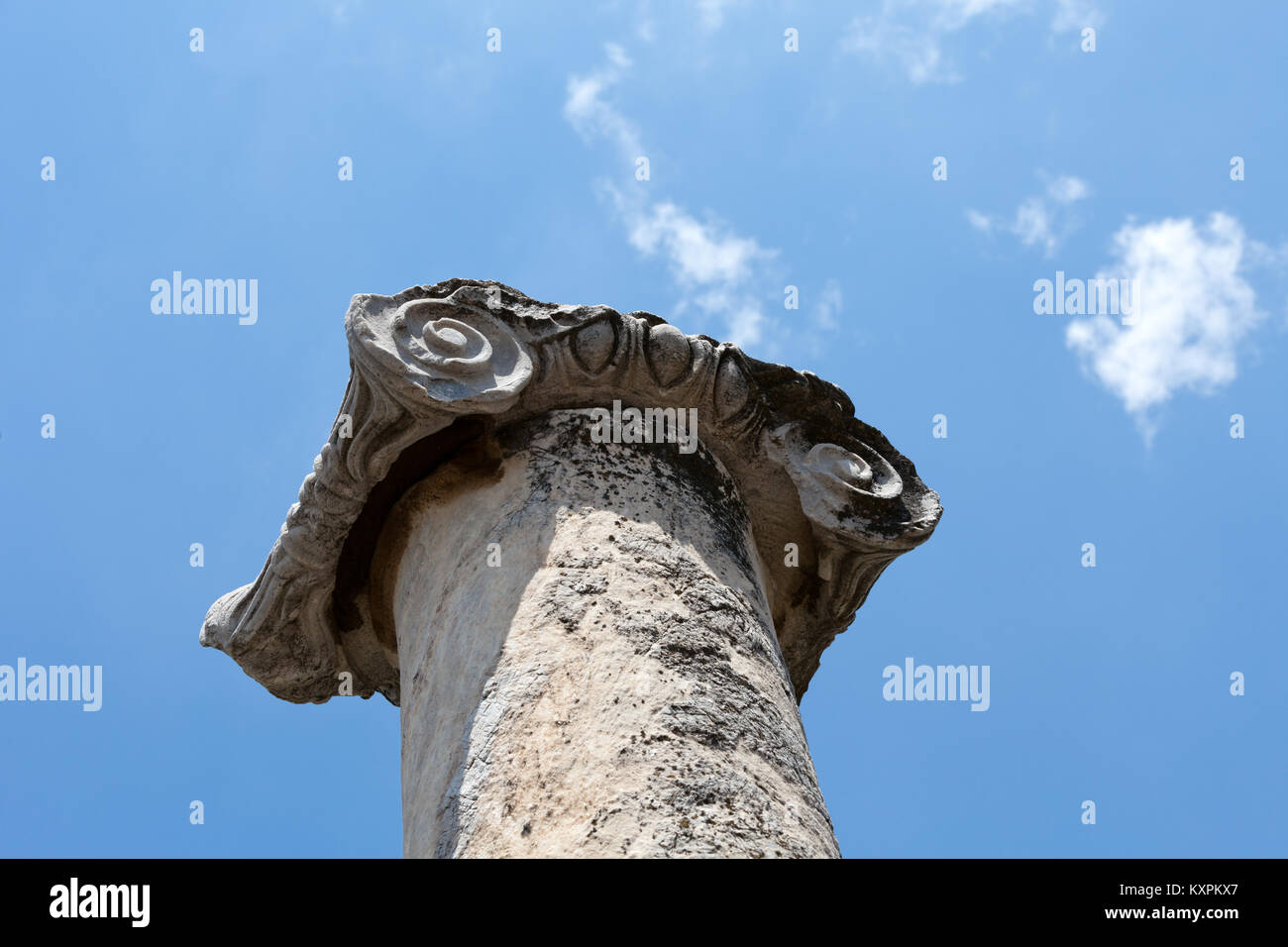Ionian column capital, architectural detail Stock Photo - Alamy