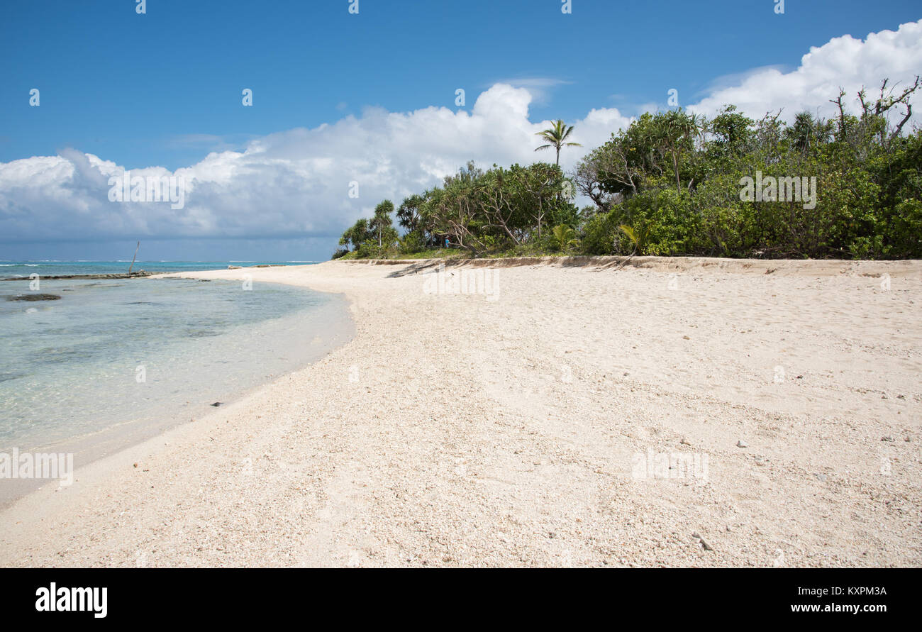 Sandy Pacific Ocean beach with tropical trees under a blue sky with ...
