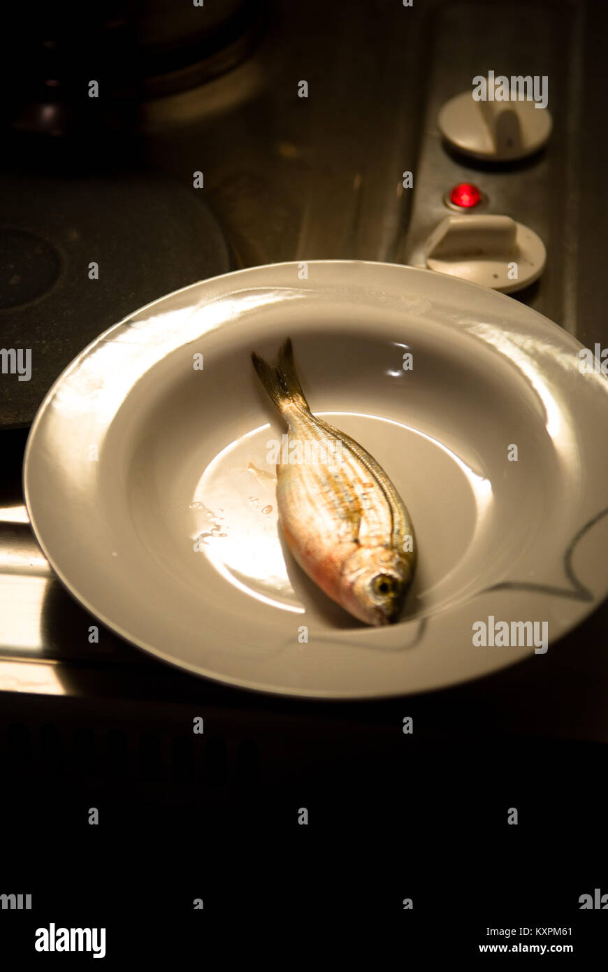 a small single dead fish lies in an empty plate ready to be cooked with ...