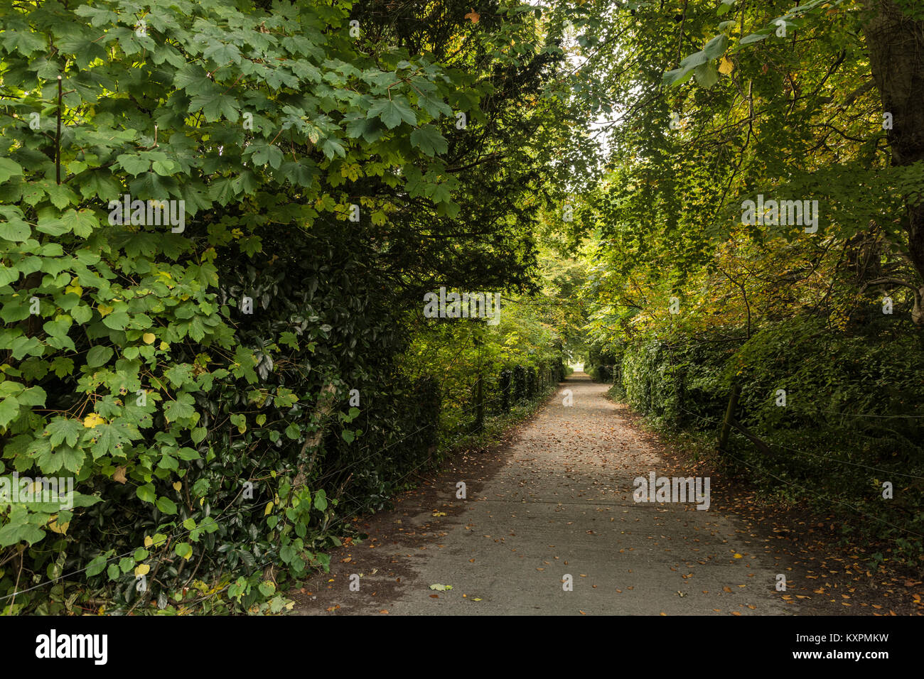 Howth Castle gardens. Howth. Ireland Stock Photo - Alamy