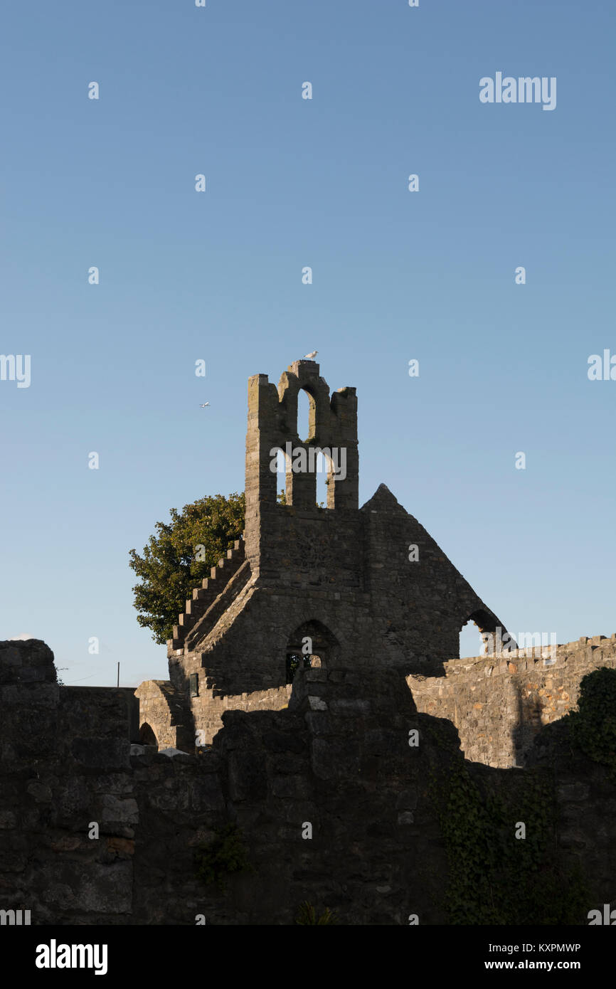 St. Mary's Church (the earliest church was built by Sitric, King of ...