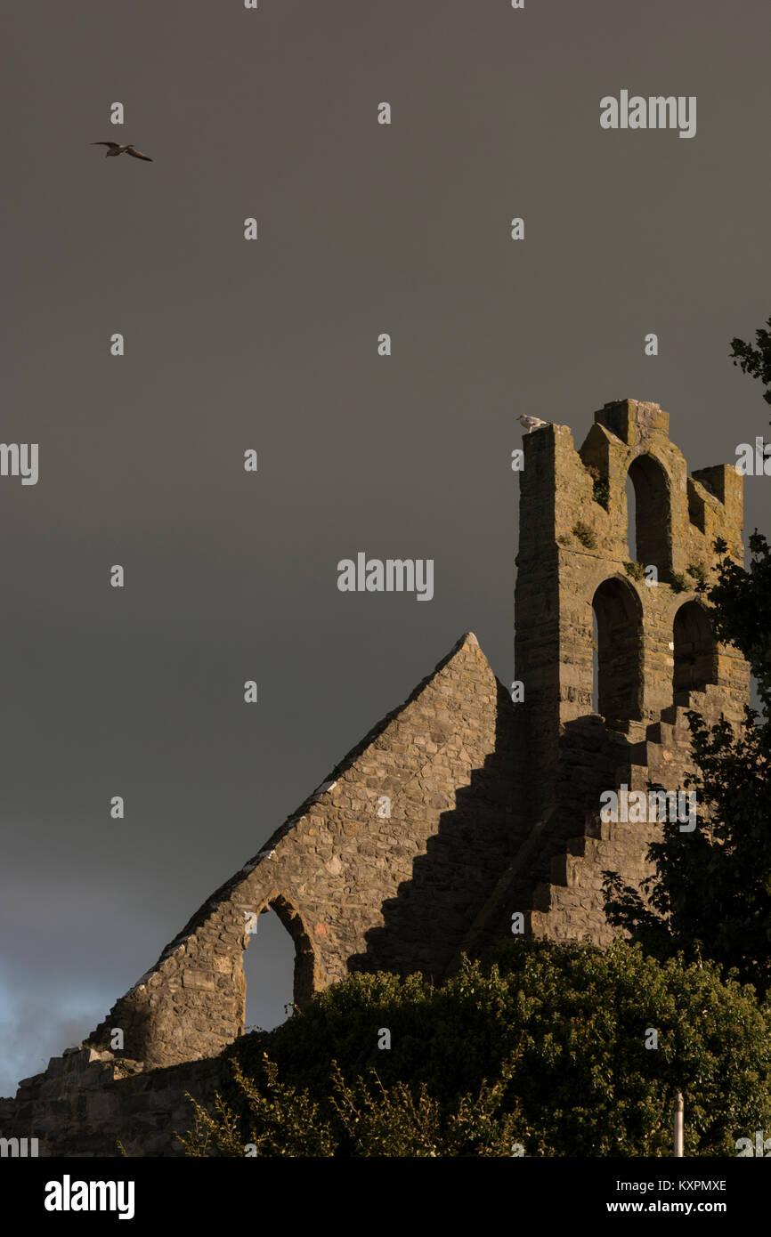 St. Mary's Church (the earliest church was built by Sitric, King of ...