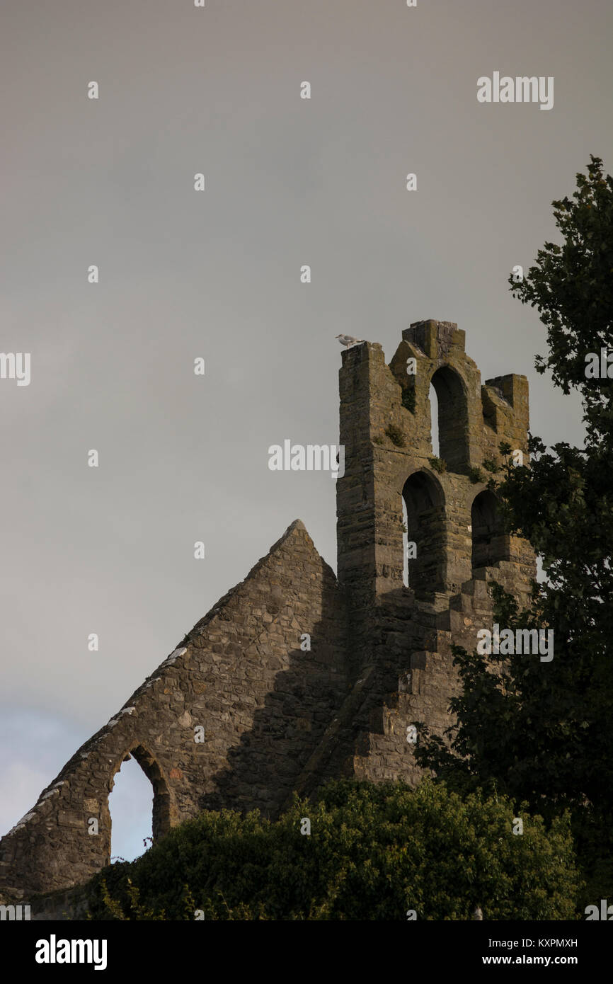 St. Mary's Church (the earliest church was built by Sitric, King of ...