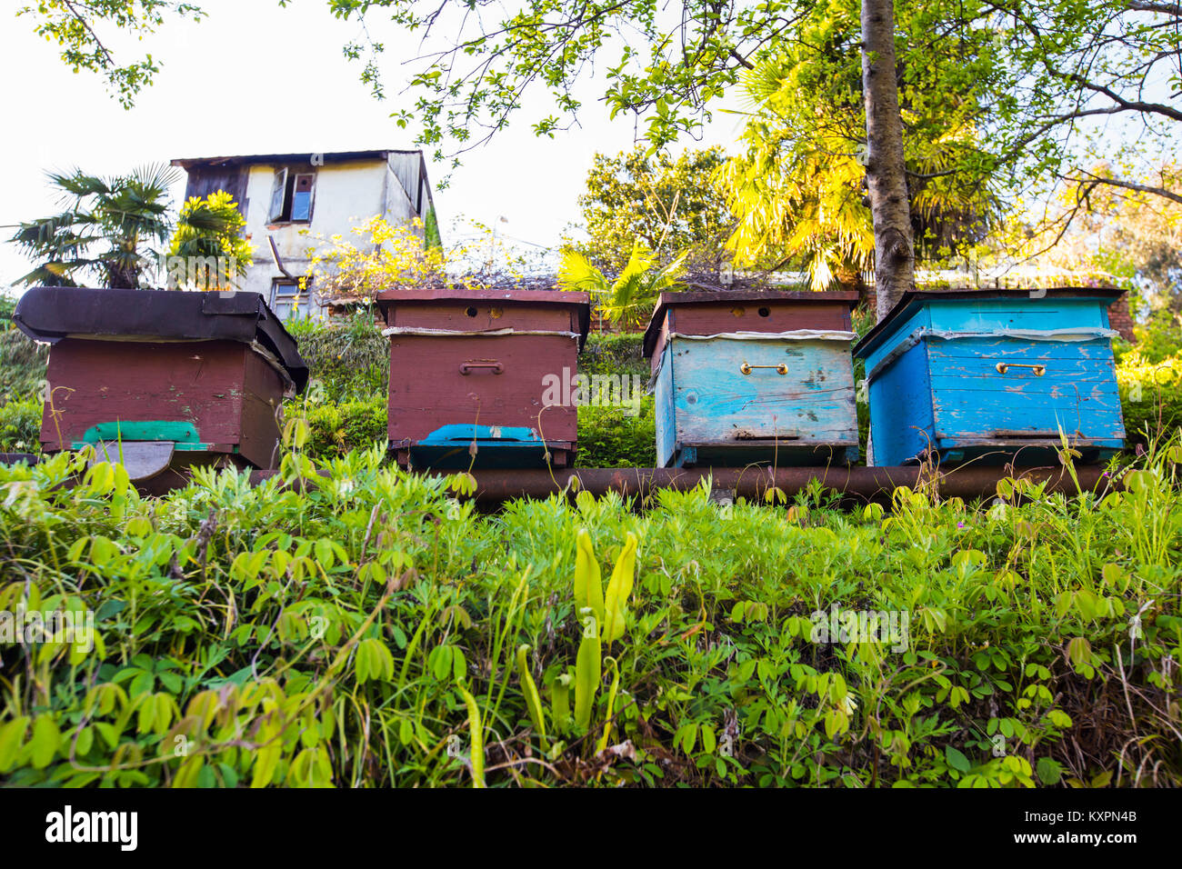 old beehive in a row Stock Photo - Alamy