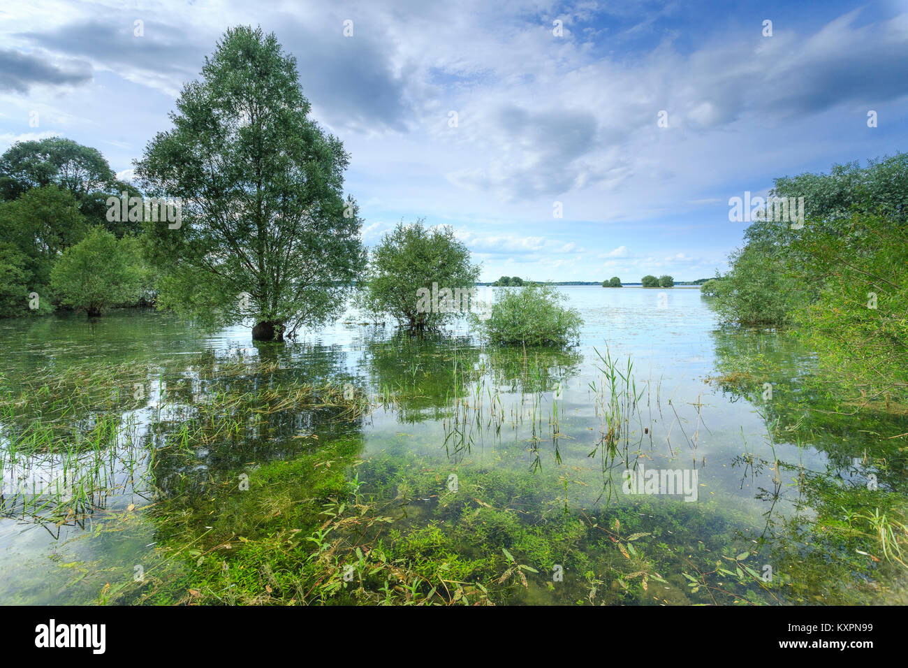 Foret d'orient regional hi-res stock photography and images - Alamy