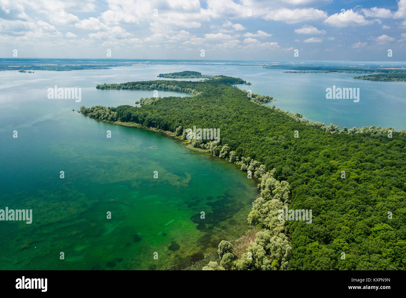 France, Aube (10), Champagne, Parc naturel régional de la Forêt d ...