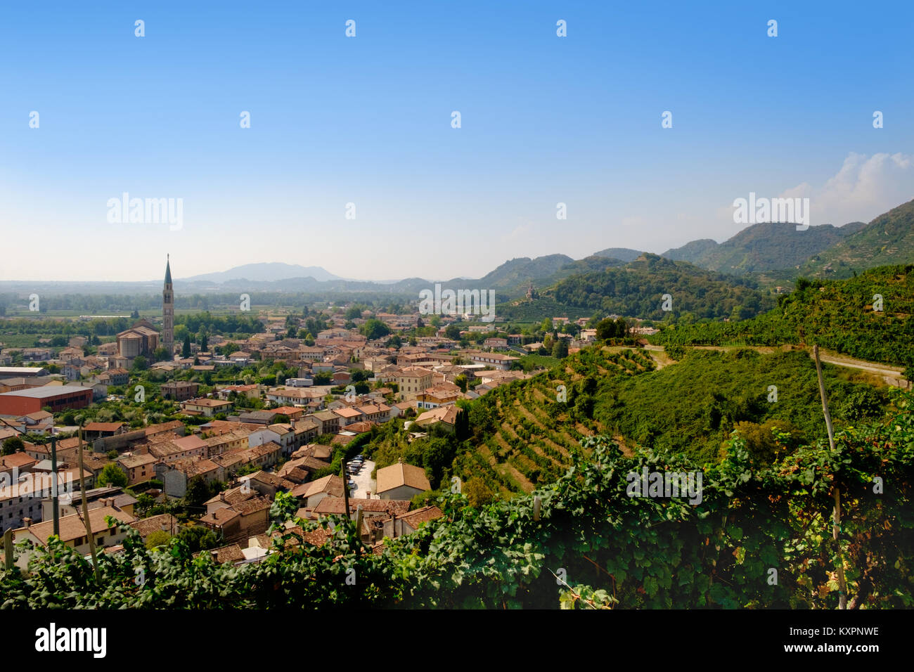 Prosecco winemaking hi-res stock photography and images - Alamy