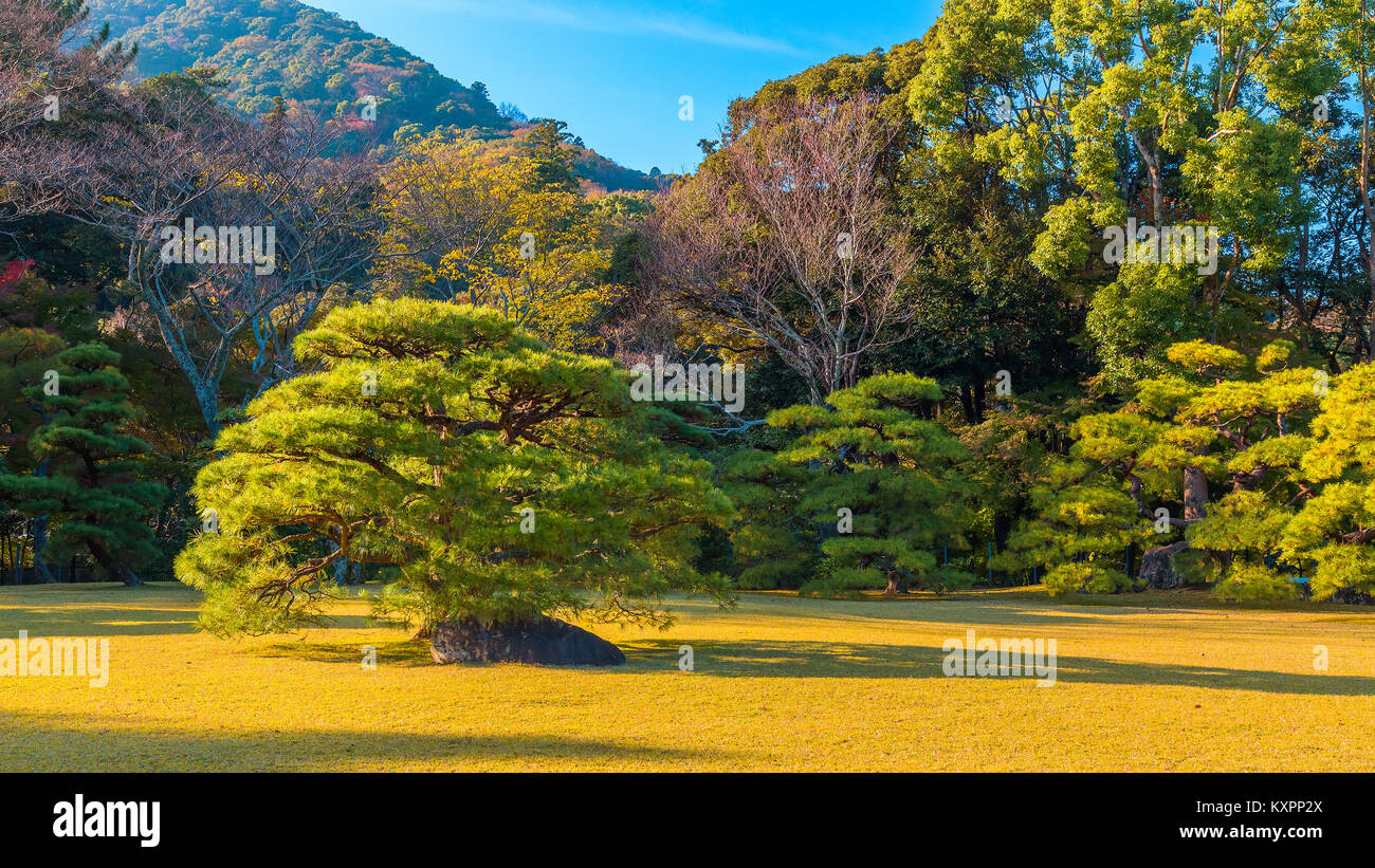 Ise Jingu Naiku(Ise Grand shrine - inner shrine) in Ise City, Mie ...