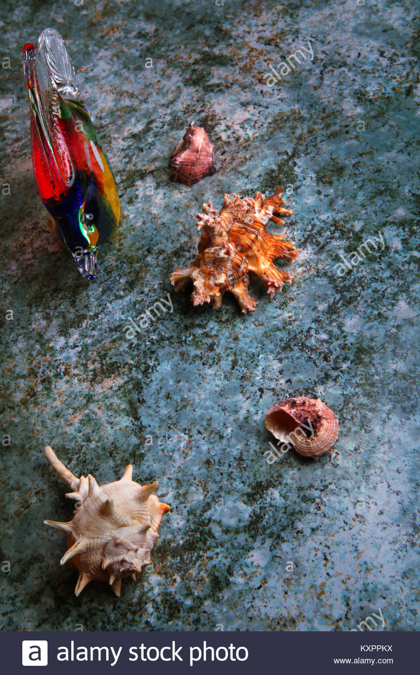 Crab Shell Texture Stock Photos & Crab Shell Texture Stock Images - Alamy