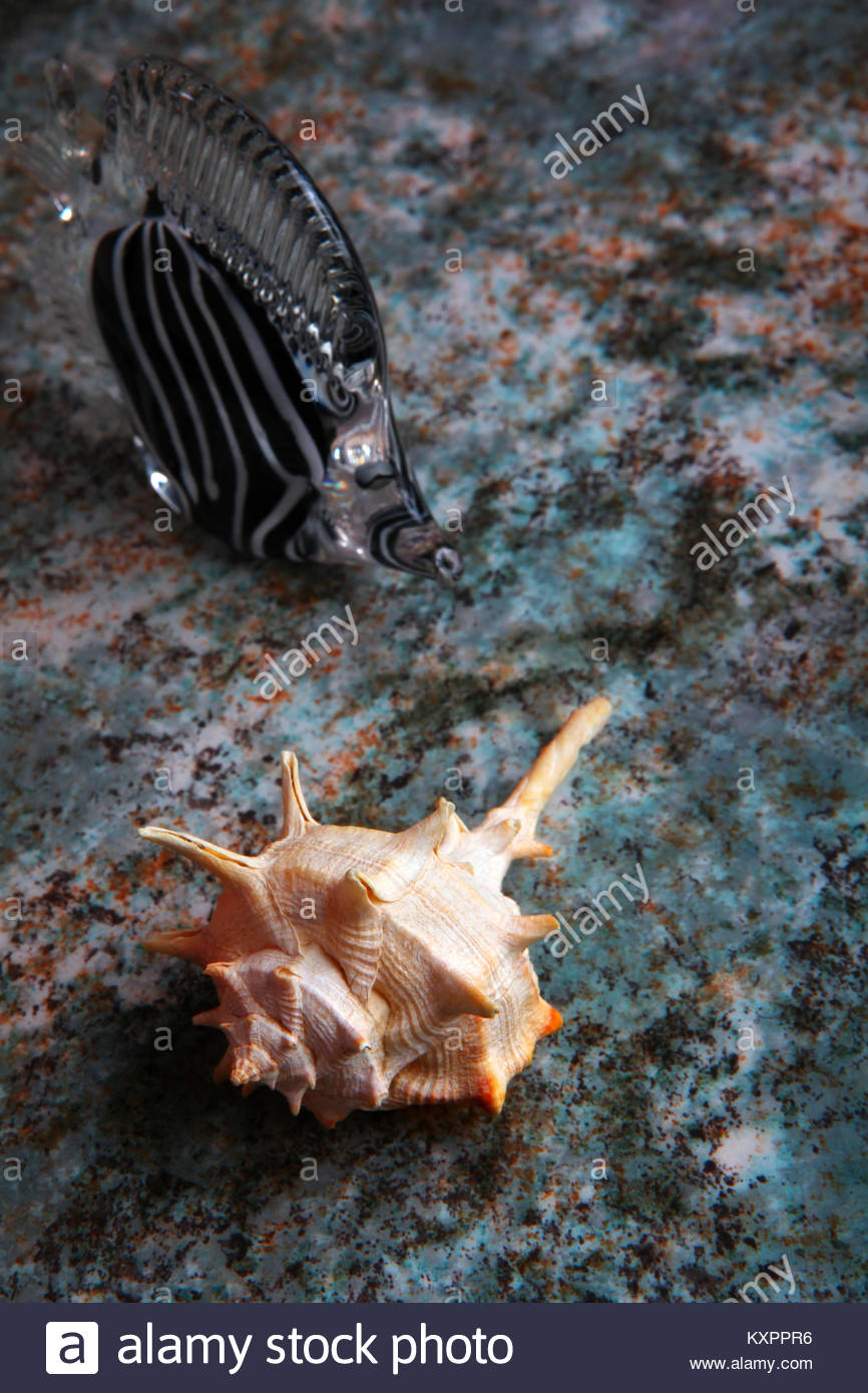 Crab Shell Texture Stock Photos & Crab Shell Texture Stock Images - Alamy