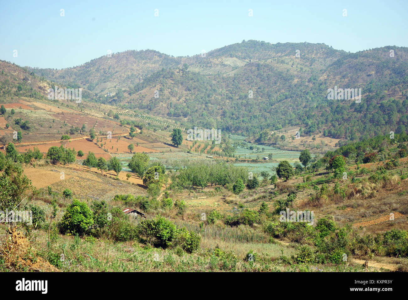 Mountain landscape with fields and forest in Myanmar Stock Photo - Alamy