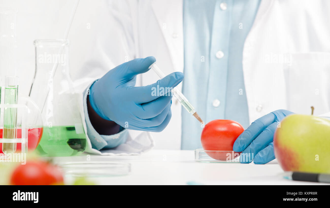 Scientist is working on genetically modified food. Lab GMO research ...