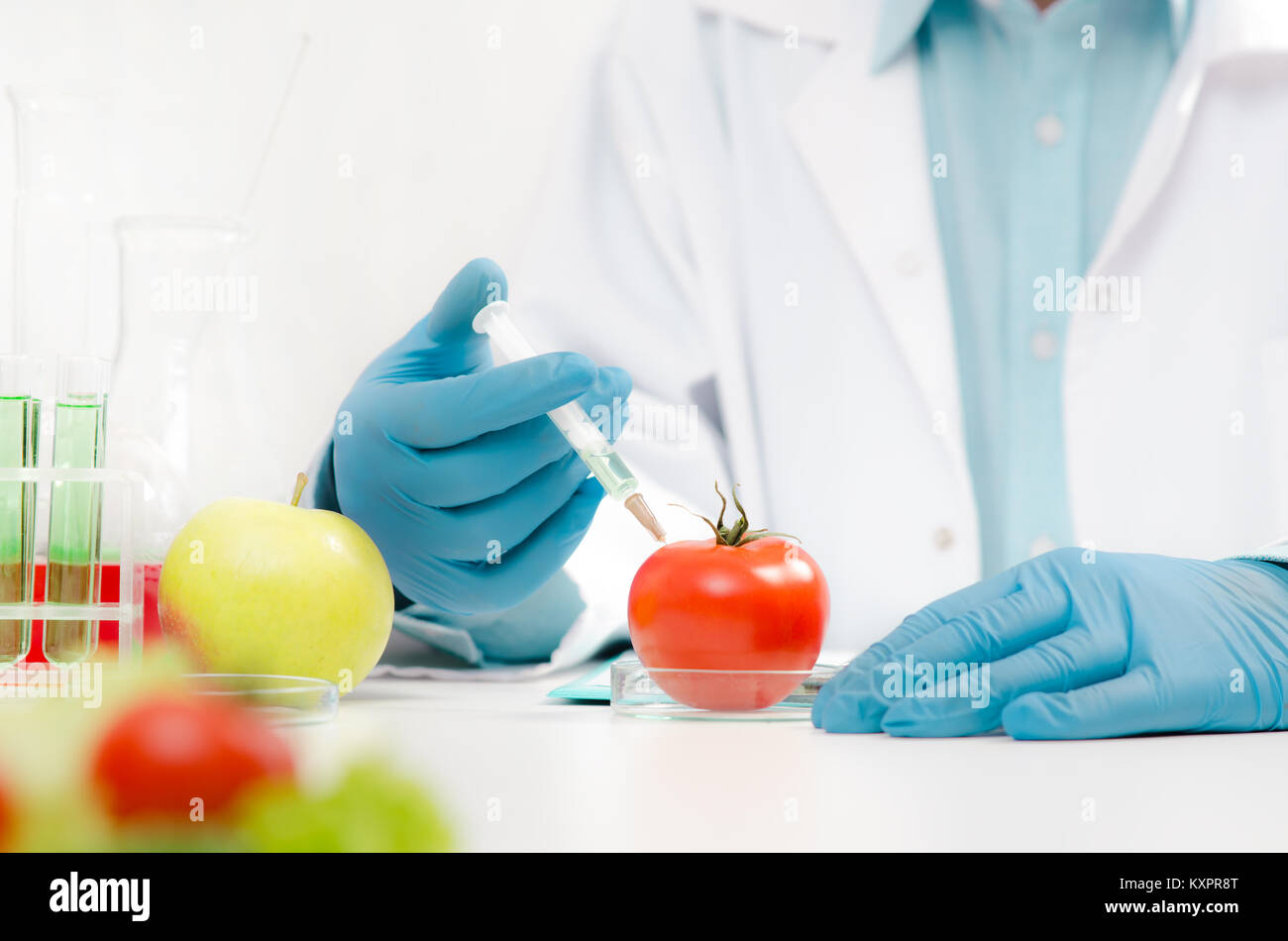 Scientist is working on genetically modified food. Lab GMO research ...