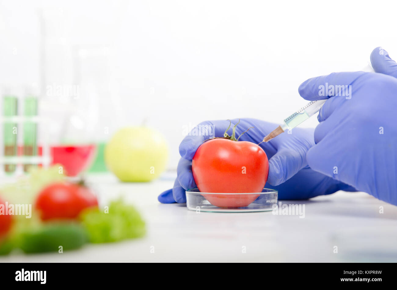 Scientist is working on genetically modified food. Lab GMO research ...
