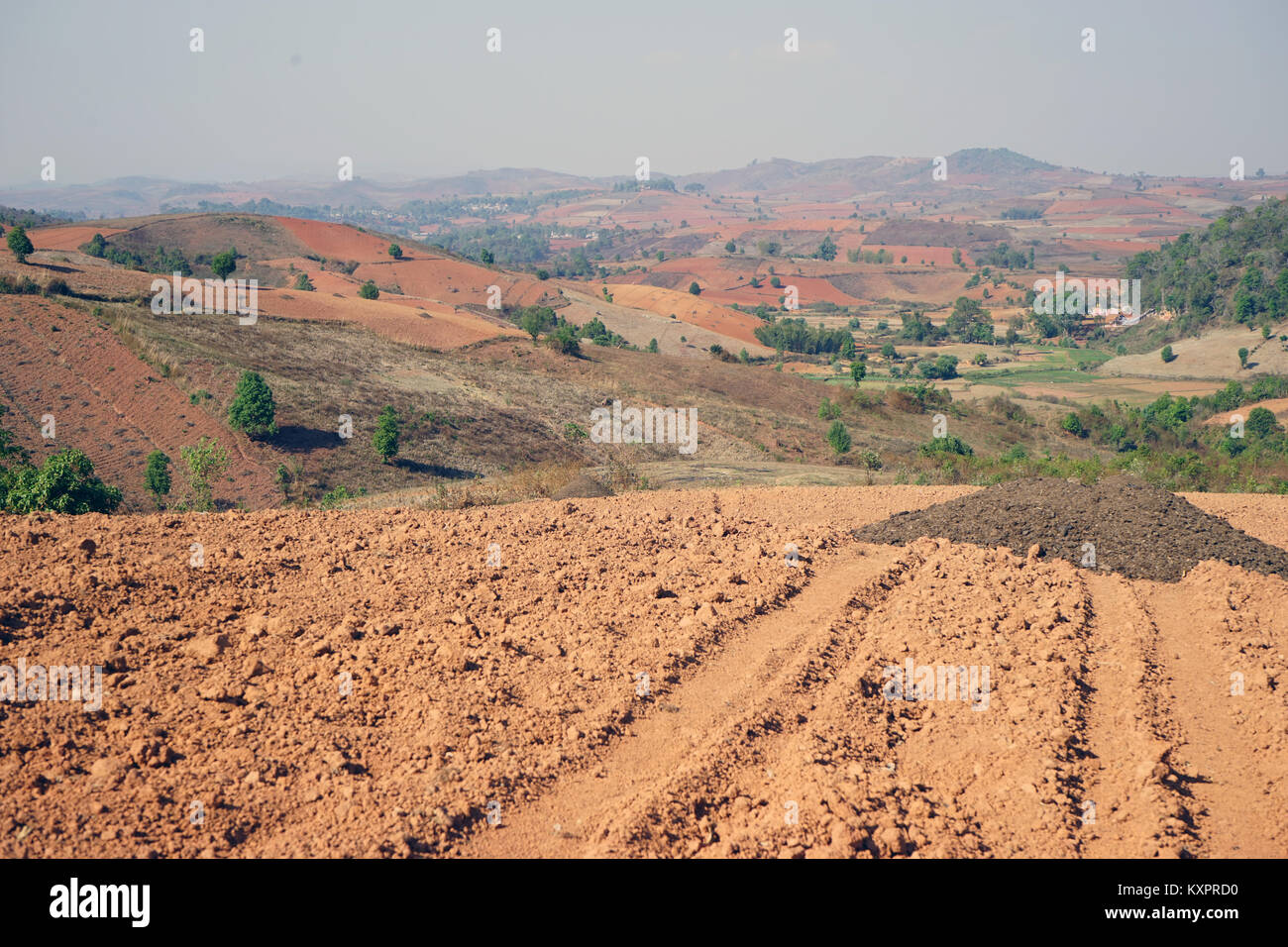 Bright soil hi-res stock photography and images - Alamy