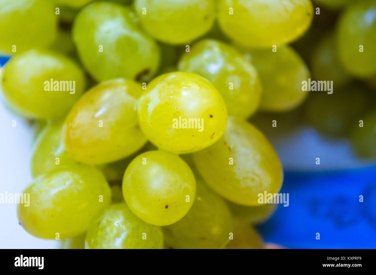 Large grapes cluster amber color on blue plate Stock Photo - Alamy