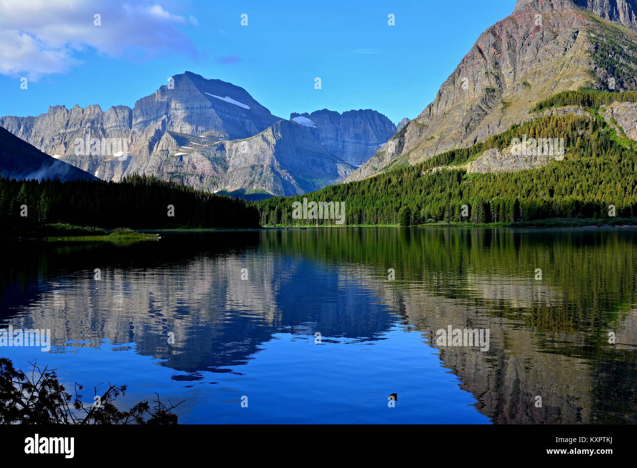 Swiftcurrent lake moose hi-res stock photography and images - Alamy