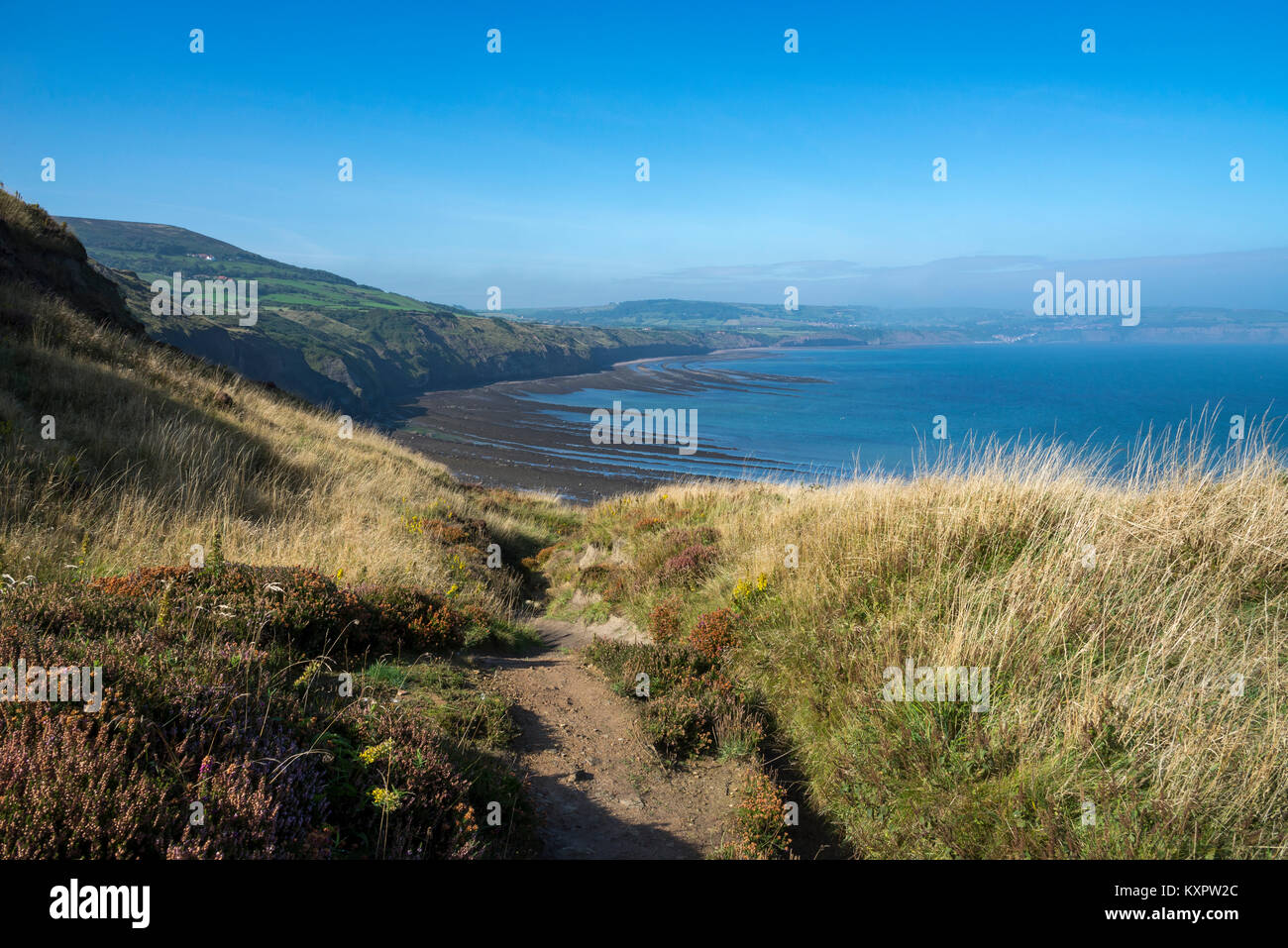 Beautiful coastline at Ravenscar overlooking Robin Hood's Bay, North ...