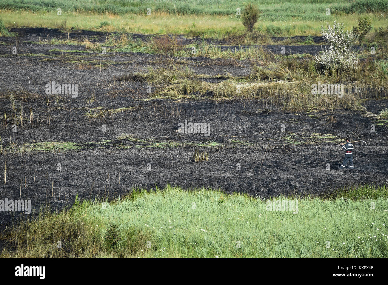 Extinguished fire in a natural park in summer season Stock Photo - Alamy