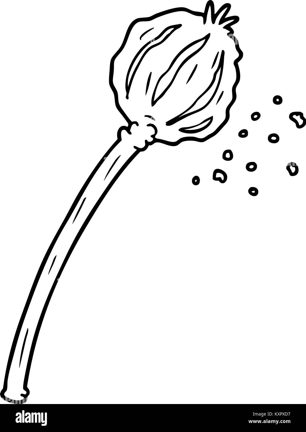 Poppy seeds Black and White Stock Photos & Images - Alamy