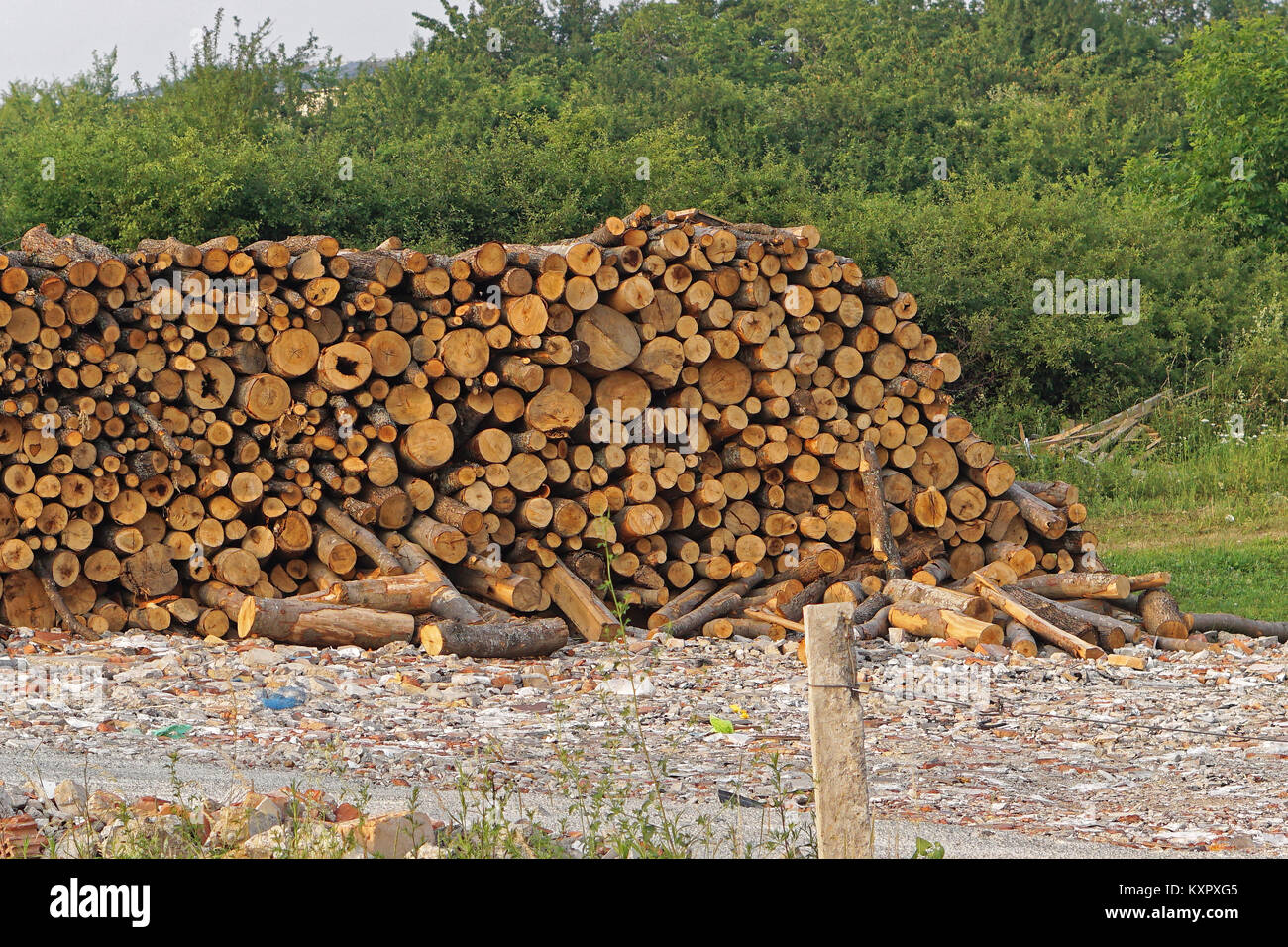 Big stack of fire wood logs for winter Stock Photo - Alamy