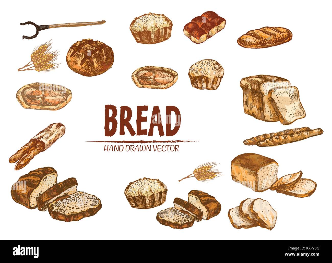 Digital color vector bundle set detailed line art golden loaf of rye ...