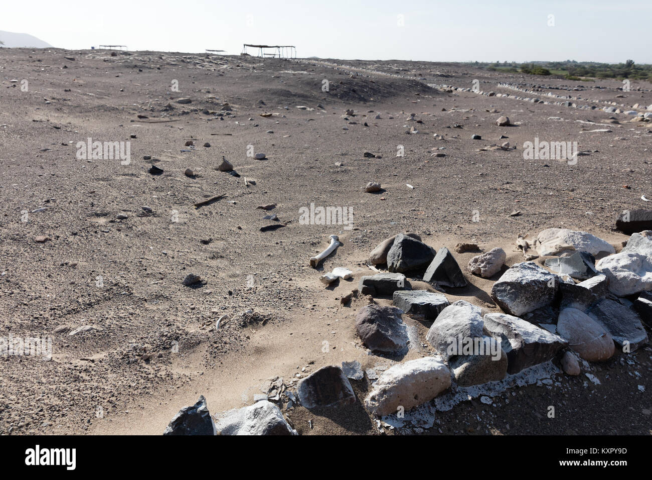 Bones in open inca cemetery in Nazca region , Peru Stock Photo - Alamy