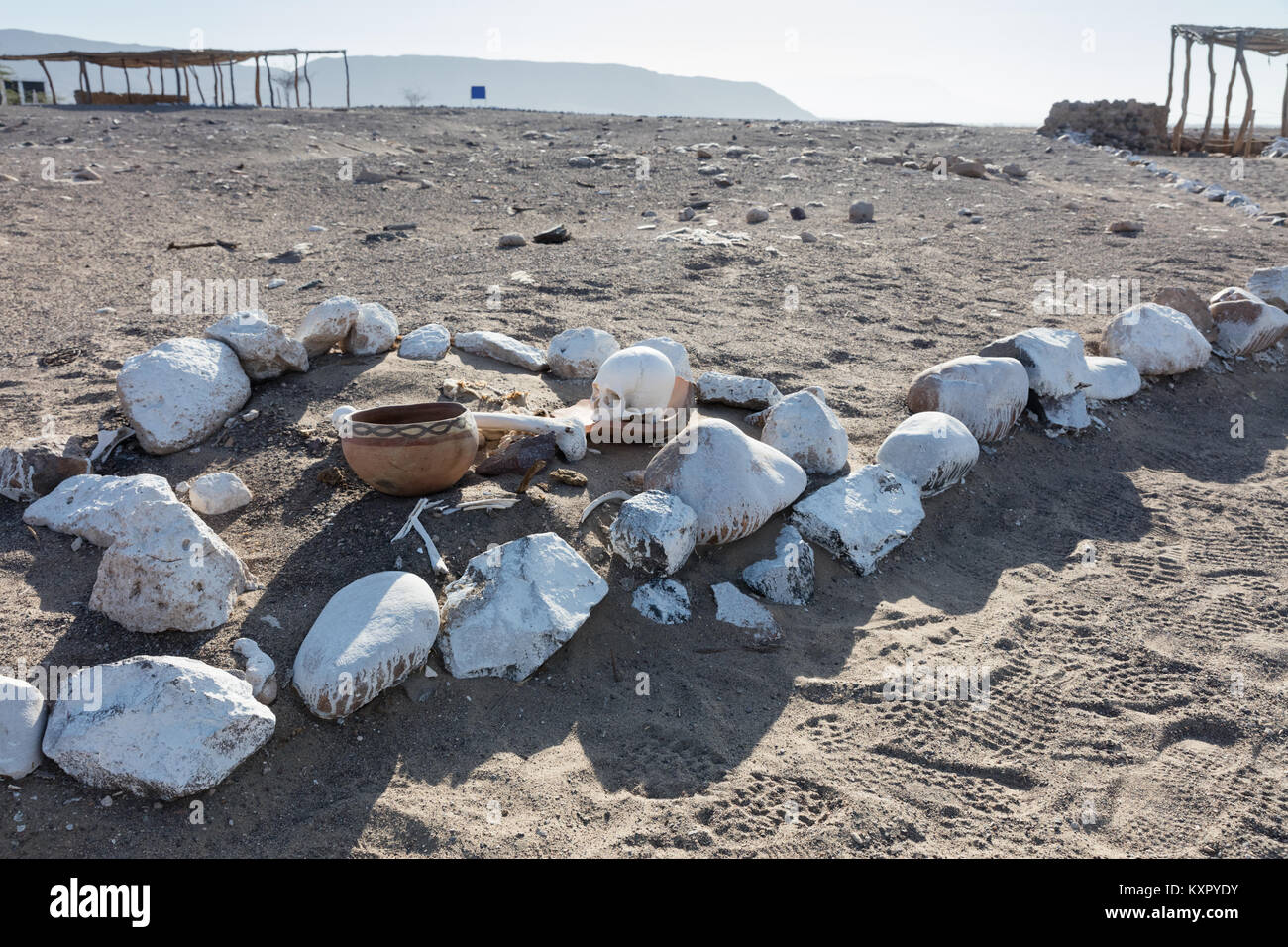 Bones in open inca cemetery in Nazca region , Peru Stock Photo - Alamy