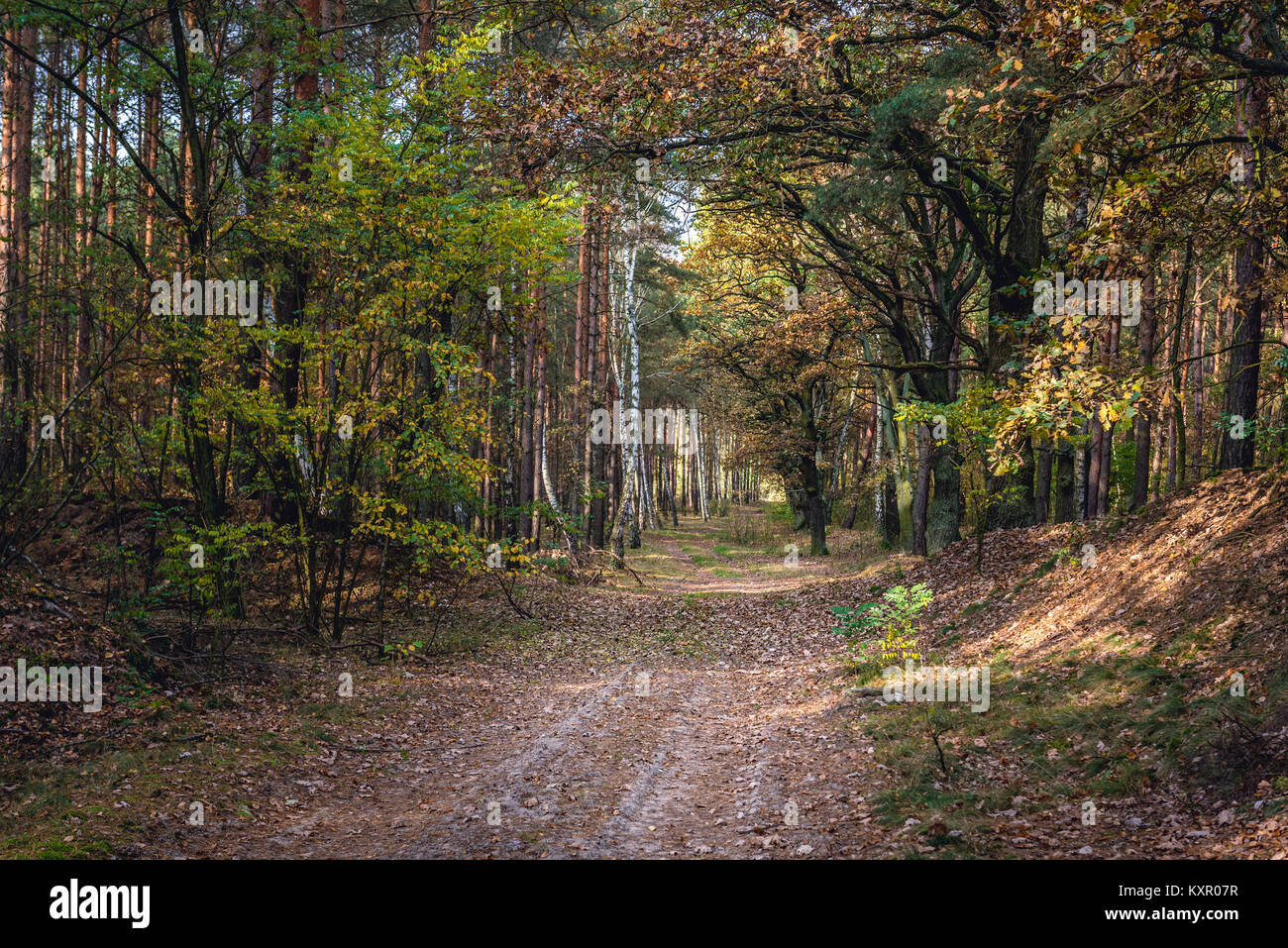 Masovian large poland hi-res stock photography and images - Alamy