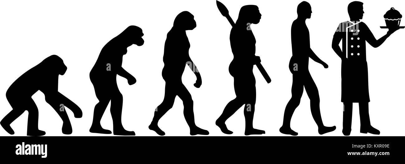 Pastry chef man evolution Stock Vector Image & Art - Alamy